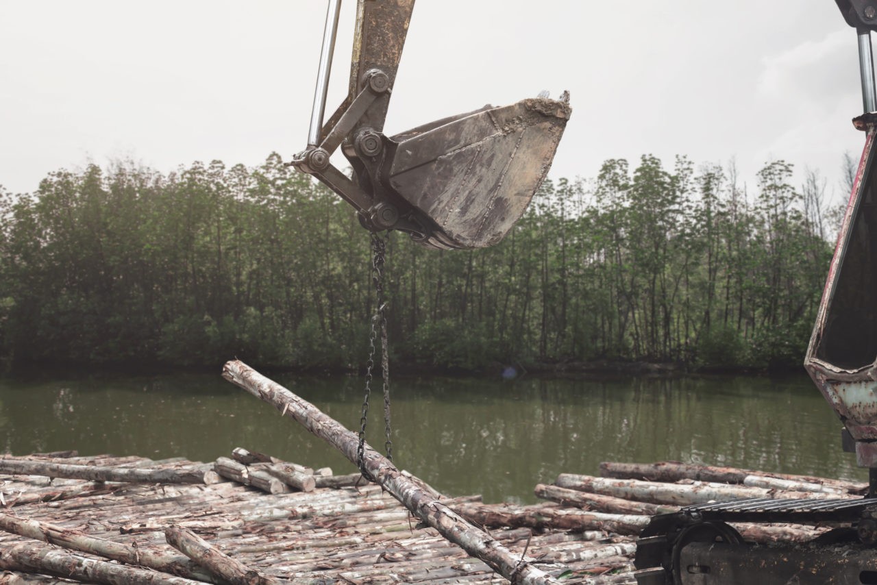 Large Woody Debris Design and Installation | TriMedia Environmental ...